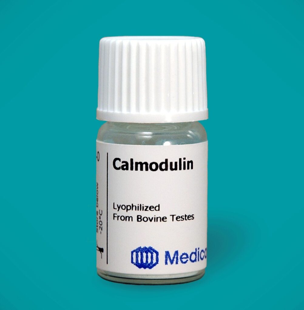 Calmodulin - Medicagogroup